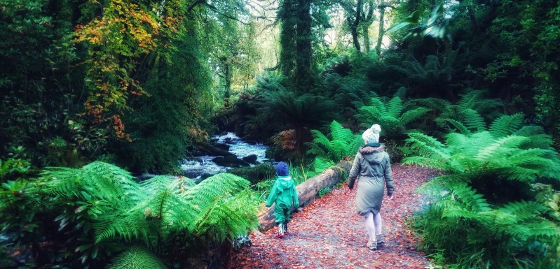 Synodal Pathway – Diocese of Kerry